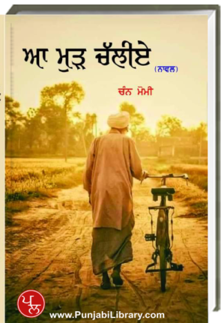 Unlock the treasure of Punjabi Language, Culture & History with Punjabi ...